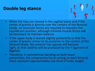 Hip joint anatomy and biomechanics | PPTX