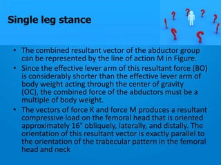 Hip joint anatomy and biomechanics | PPTX
