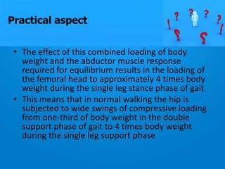 Hip joint anatomy and biomechanics | PPTX
