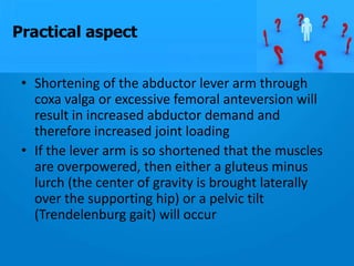 Hip joint anatomy and biomechanics | PPTX