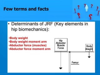 Hip joint anatomy and biomechanics | PPTX
