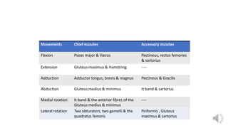 Hip joint anatomy part II | PPT