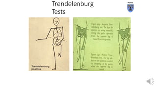 Hip joint anatomy part II | PPT