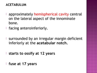 Hip joint anatomy and its biomechanics | PPT