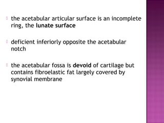Hip joint anatomy and its biomechanics | PPT