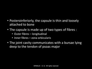 Hip joint anatomy | PPTX