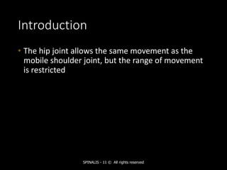 Hip joint anatomy | PPTX