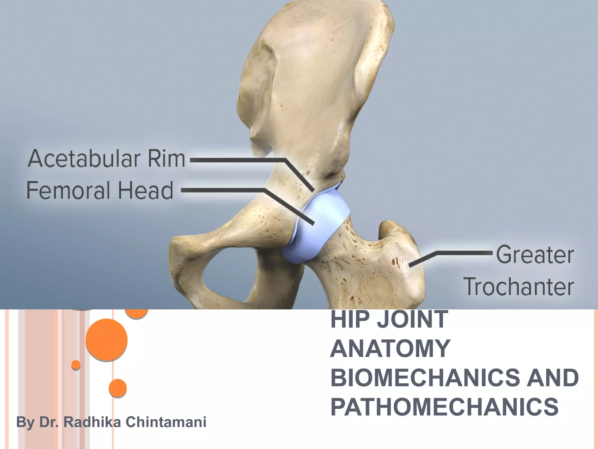 Hip joint biomechanics and pathomechanics | PDF
