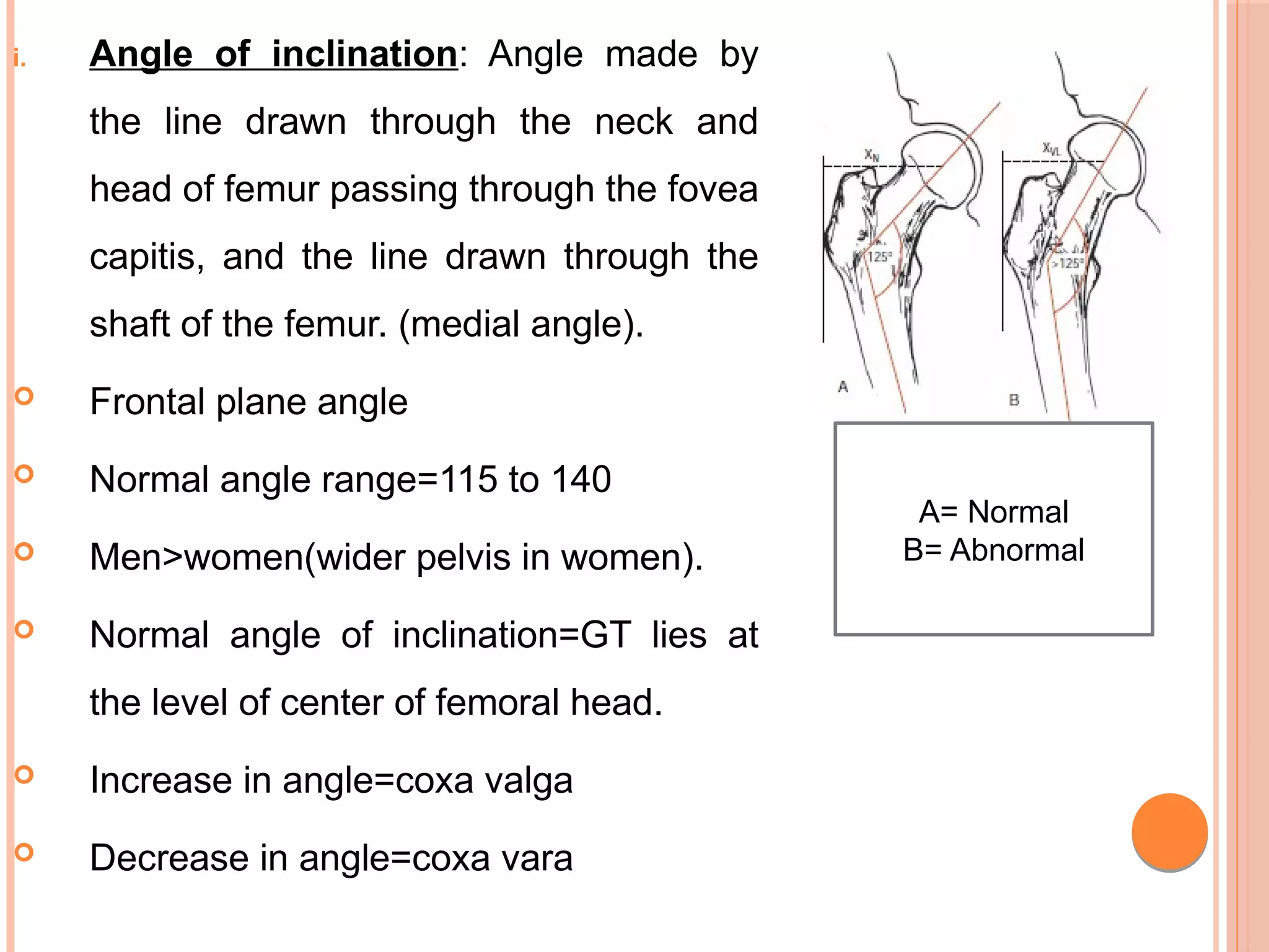 Hip joint biomechanics and pathomechanics | PDF