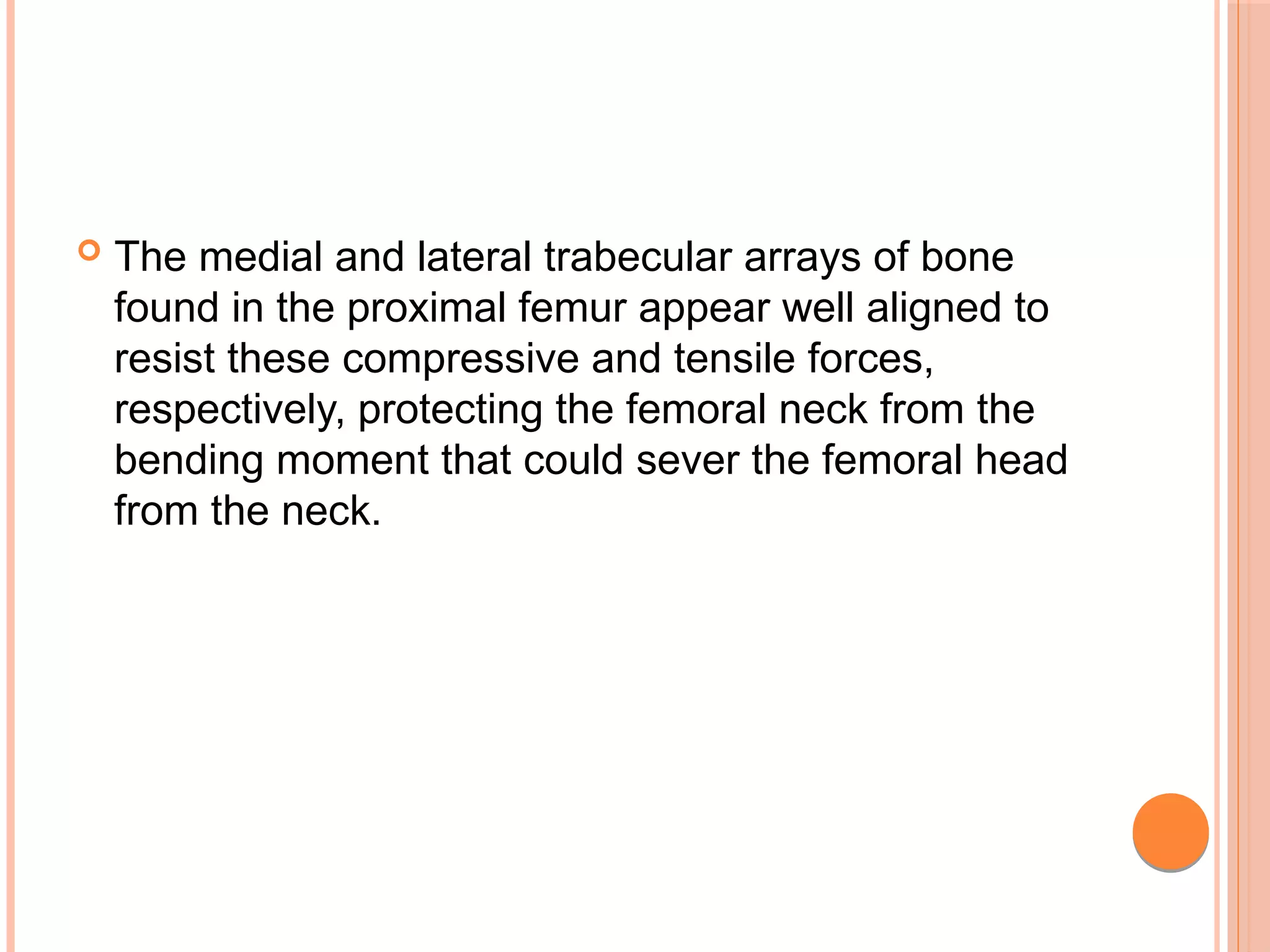 Hip joint biomechanics and pathomechanics | PDF