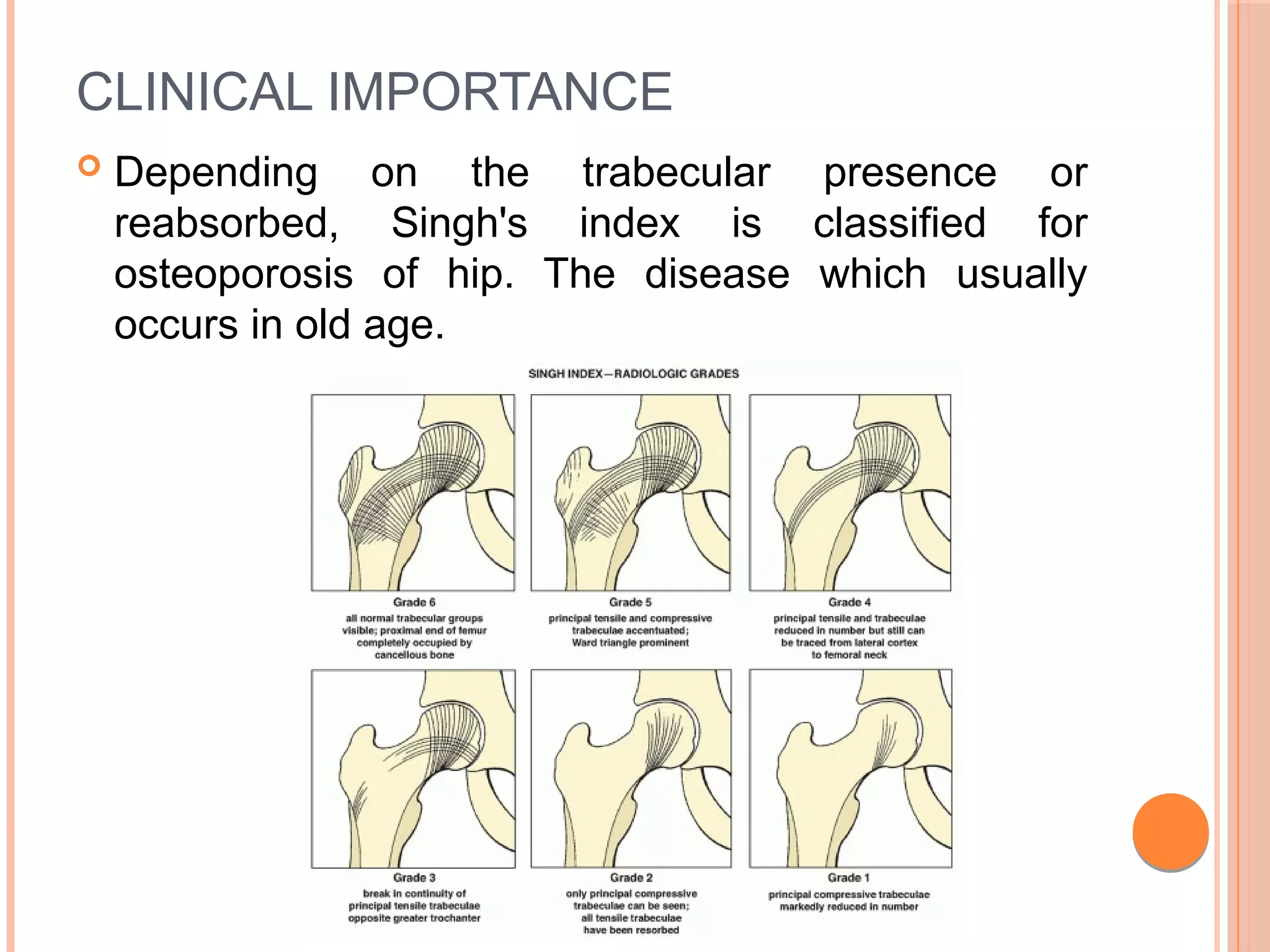 Hip joint biomechanics and pathomechanics | PDF