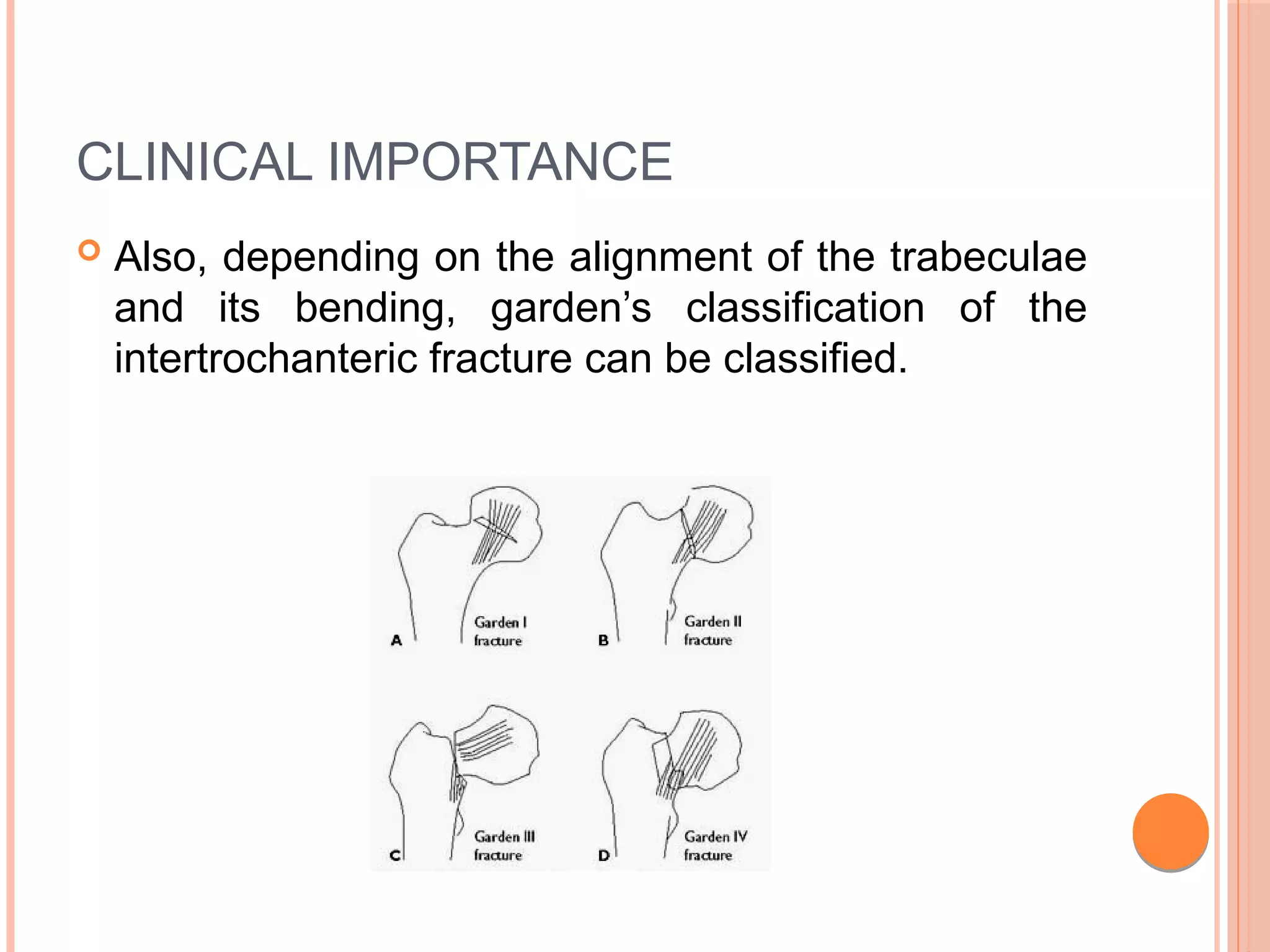 Hip joint biomechanics and pathomechanics | PDF