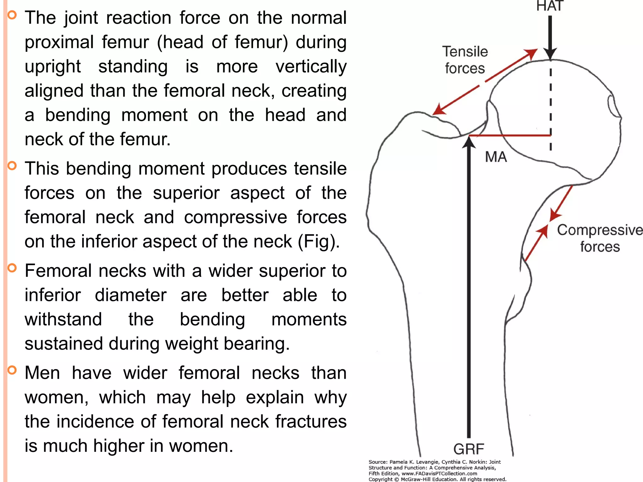 Hip joint biomechanics and pathomechanics | PDF