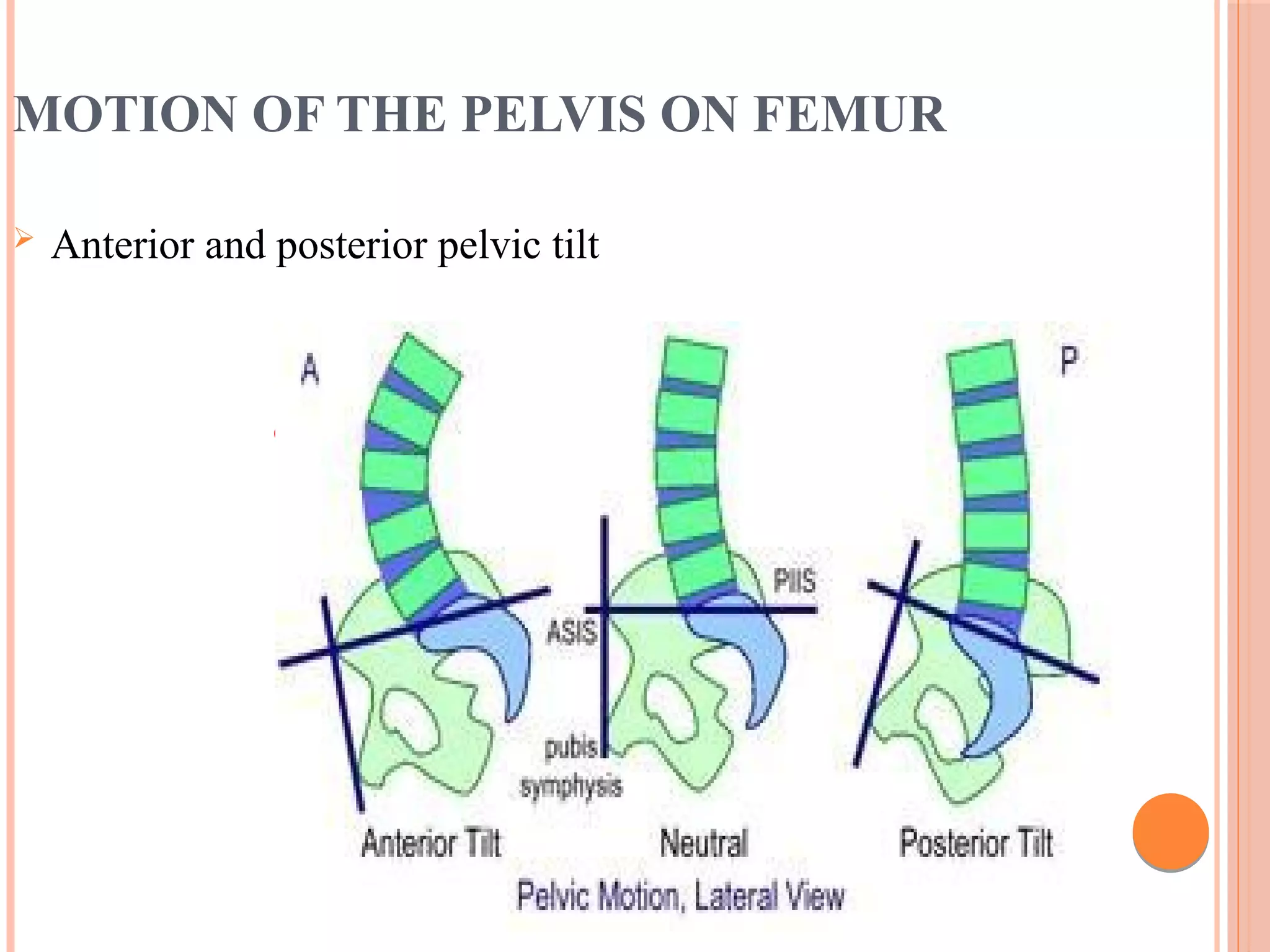 Hip joint biomechanics and pathomechanics | PDF