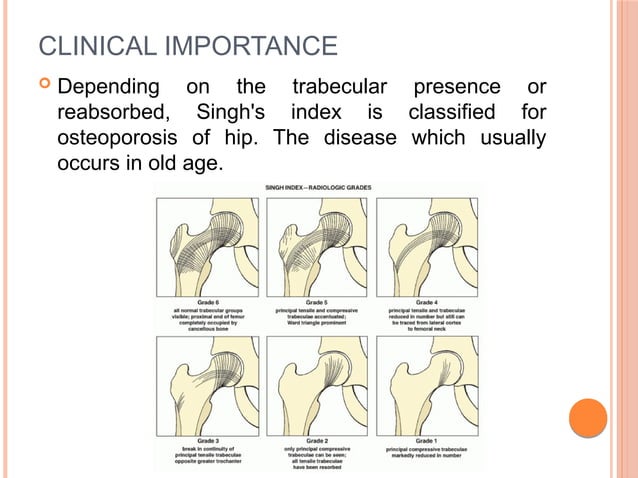 Hip joint biomechanics and pathomechanics | PDF