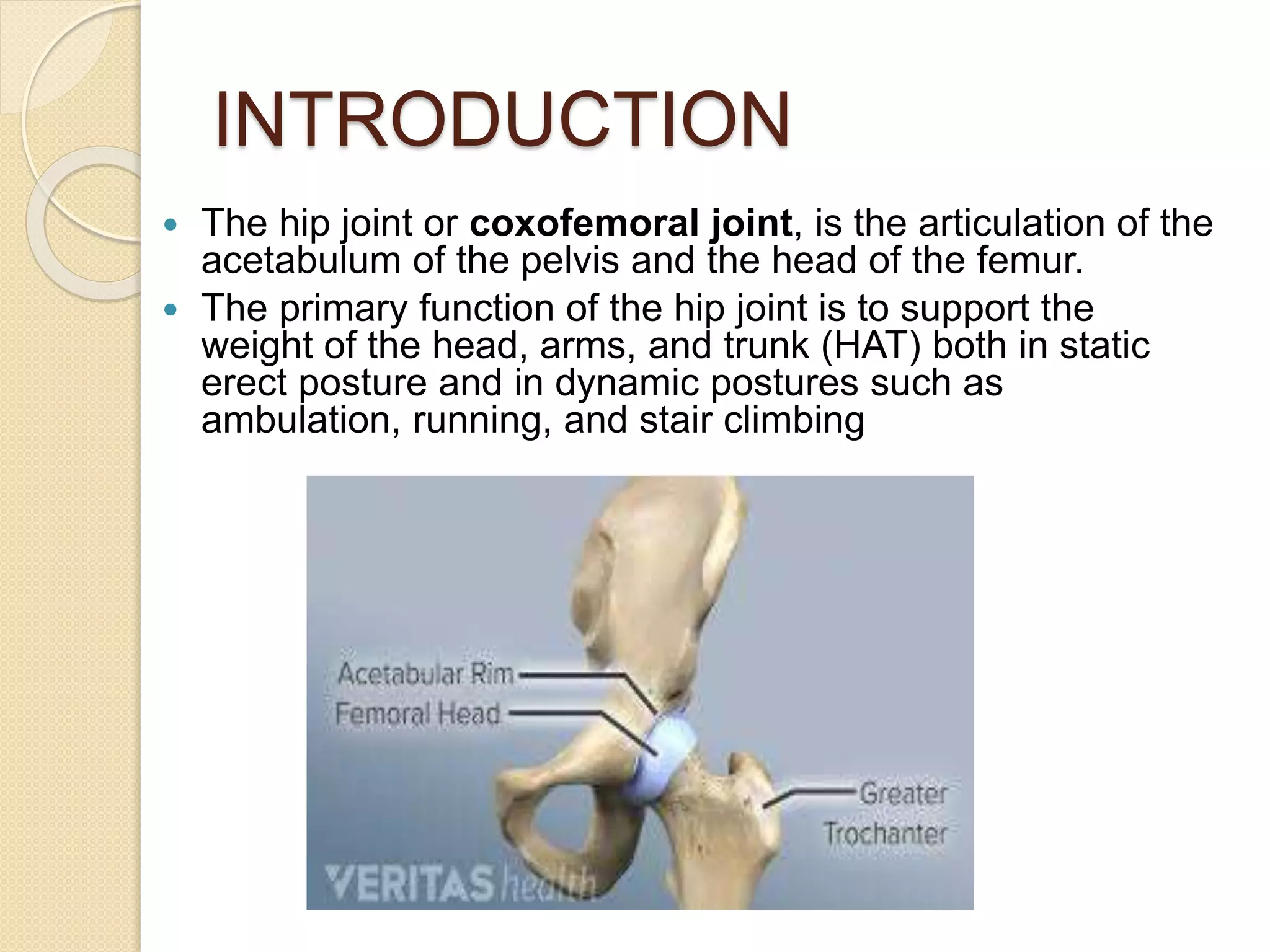 Hip joint biomecanics | PPTX