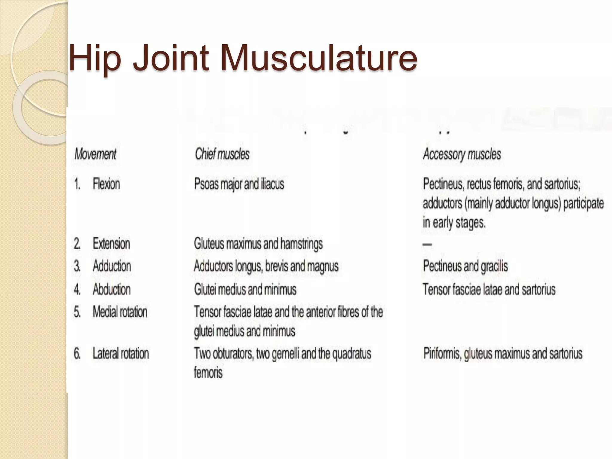Hip joint biomecanics | PPTX