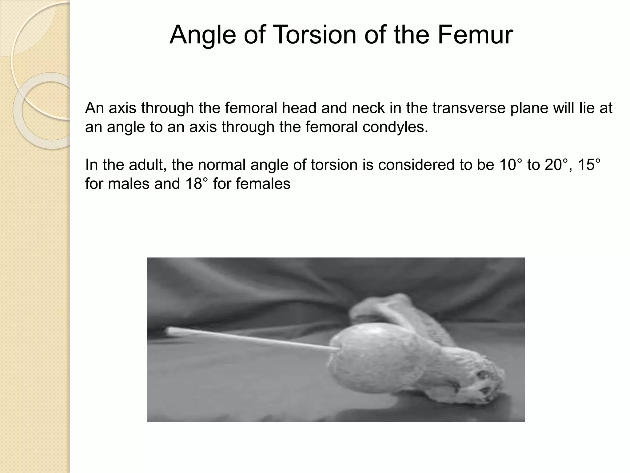 Hip joint biomecanics | PPTX
