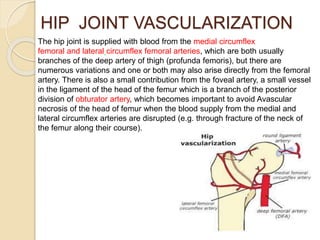 Hip joint biomecanics | PPTX