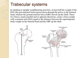 Hip joint biomecanics | PPTX