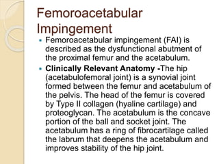 Hip joint biomecanics | PPTX