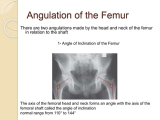 Hip joint biomecanics | PPTX