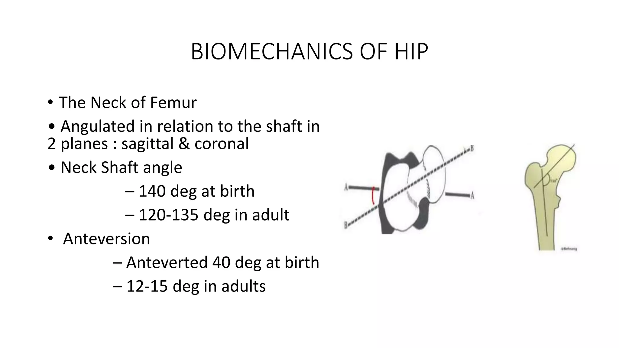 Hip joint biomechanics | PPTX
