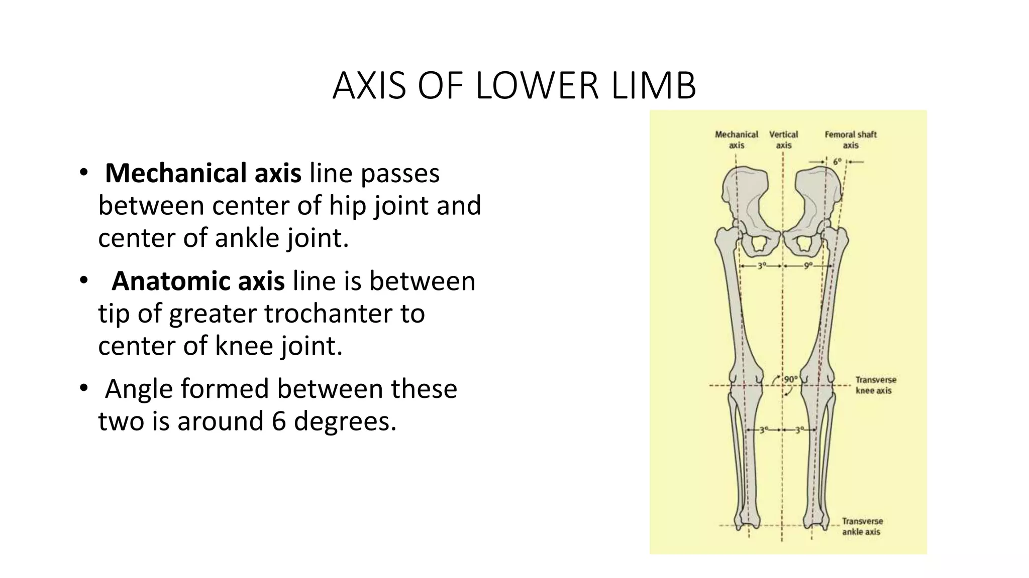 Hip joint biomechanics | PPTX