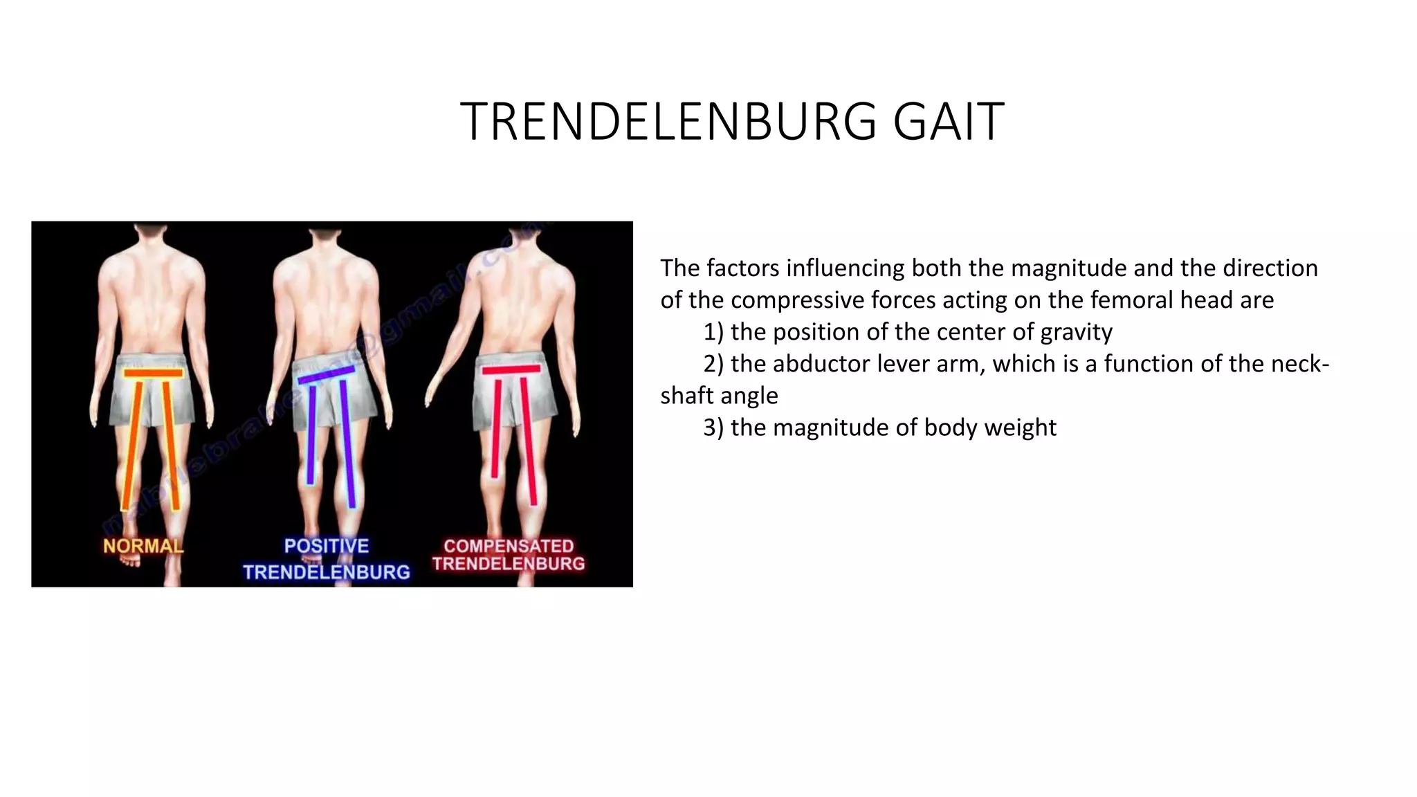 Hip joint biomechanics | PPTX