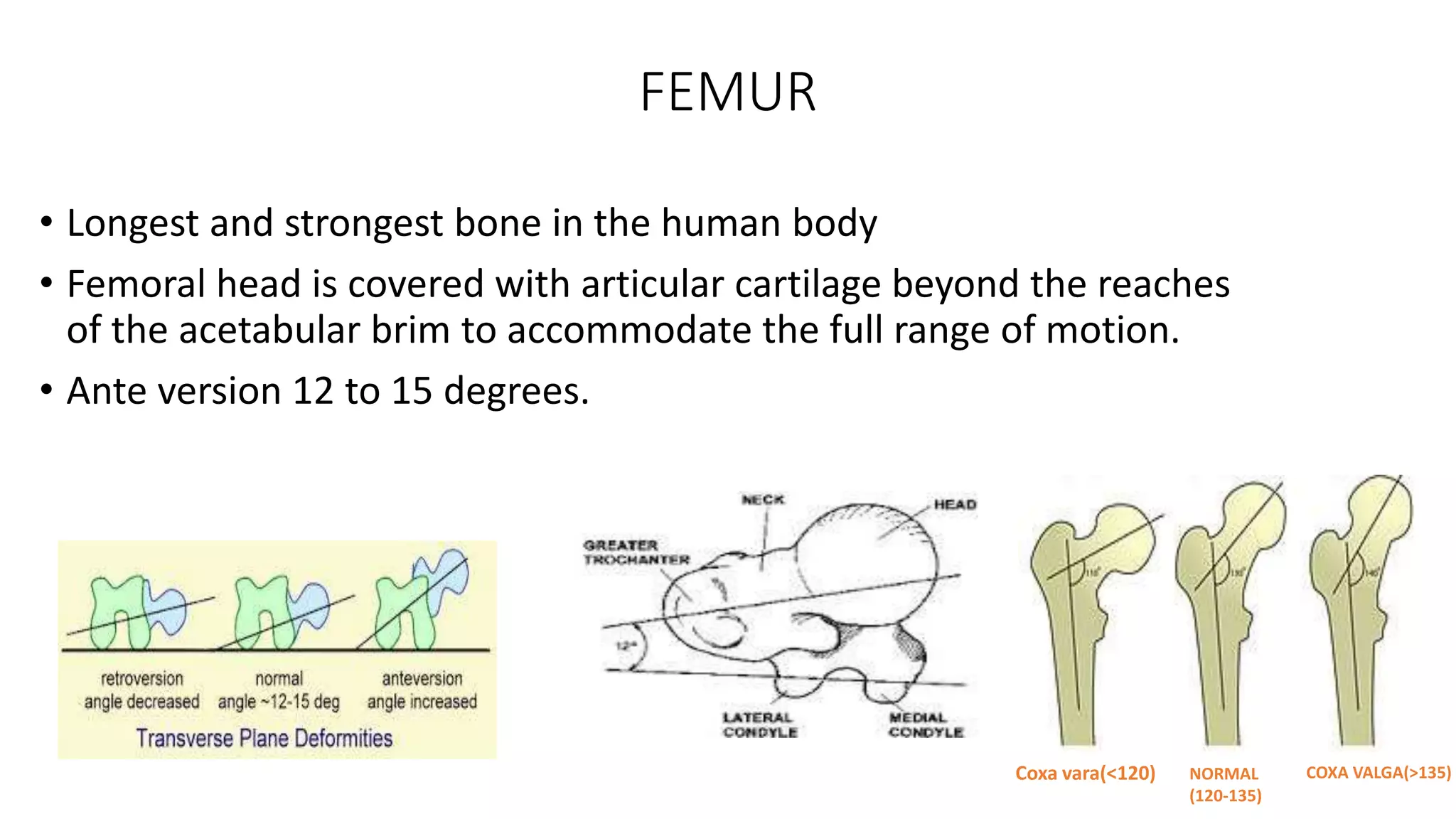 Hip joint biomechanics | PPTX
