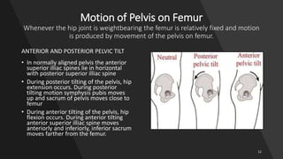 hip joint biomechanics with well defined motions and range of motions | PDF