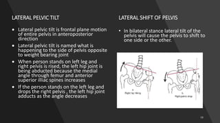 hip joint biomechanics with well defined motions and range of motions | PPT