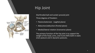 hip joint biomechanics with well defined motions and range of motions | PDF
