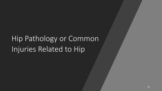 hip joint biomechanics with well defined motions and range of motions | PDF