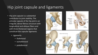 hip joint biomechanics with well defined motions and range of motions | PPT