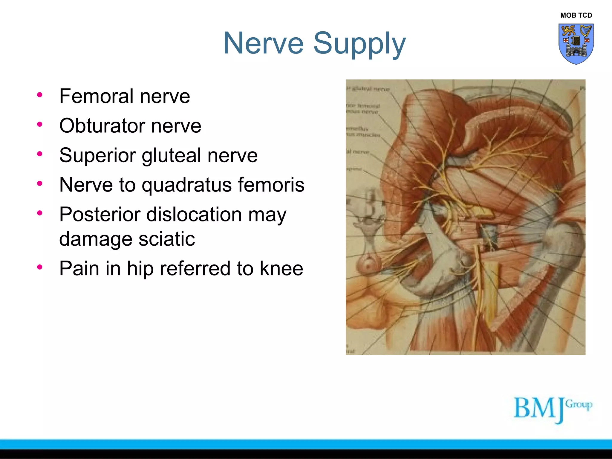 Anatomy of Hip joint | PPT