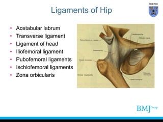 Hip_Joint_BMJ.ppt