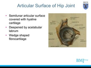 Hip_Joint_BMJ.ppt