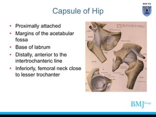 Hip_Joint_BMJ.ppt
