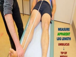 Hip joint examination | PPT