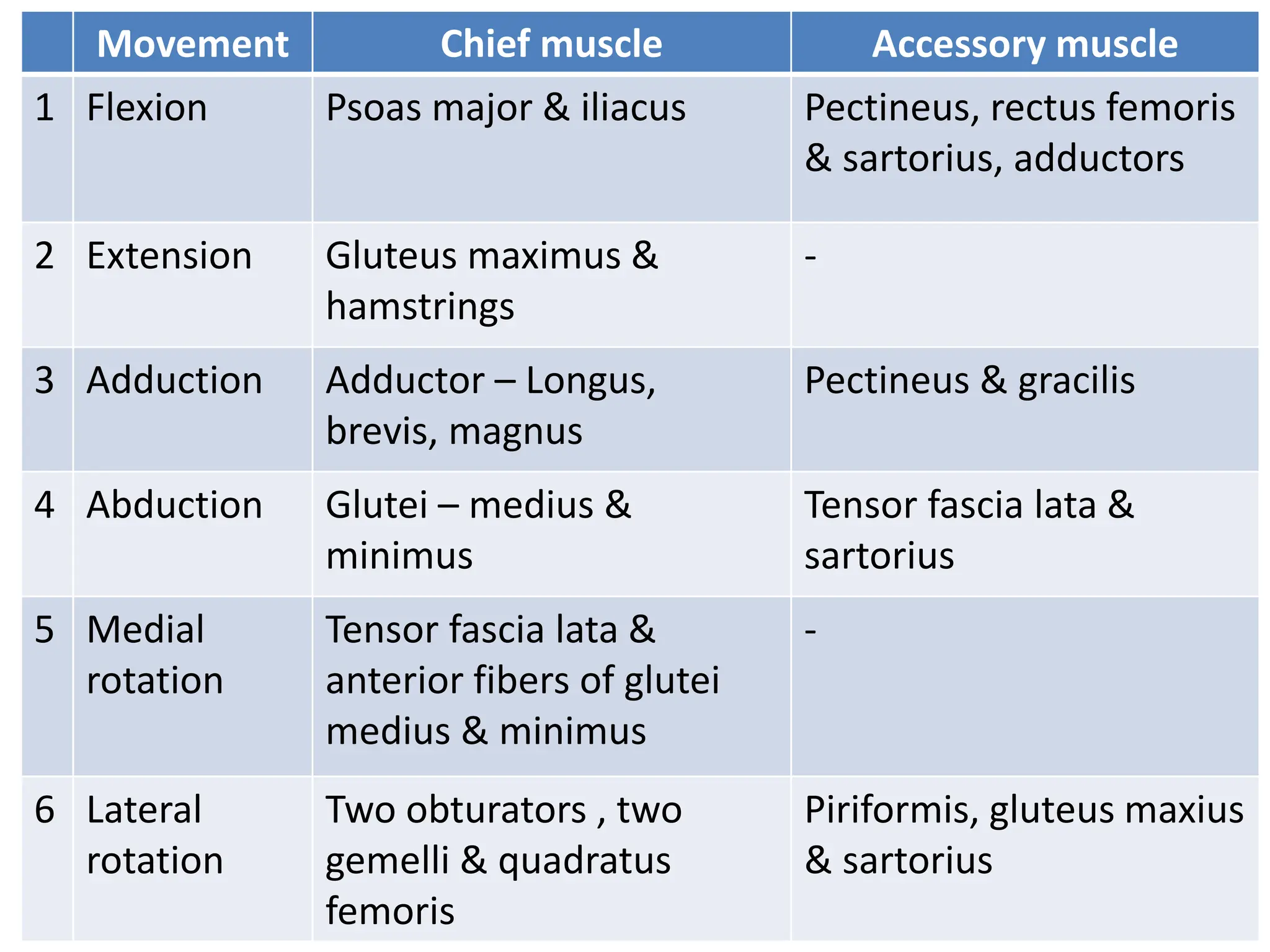 hip joint examination.pptx medical collage | PPTX