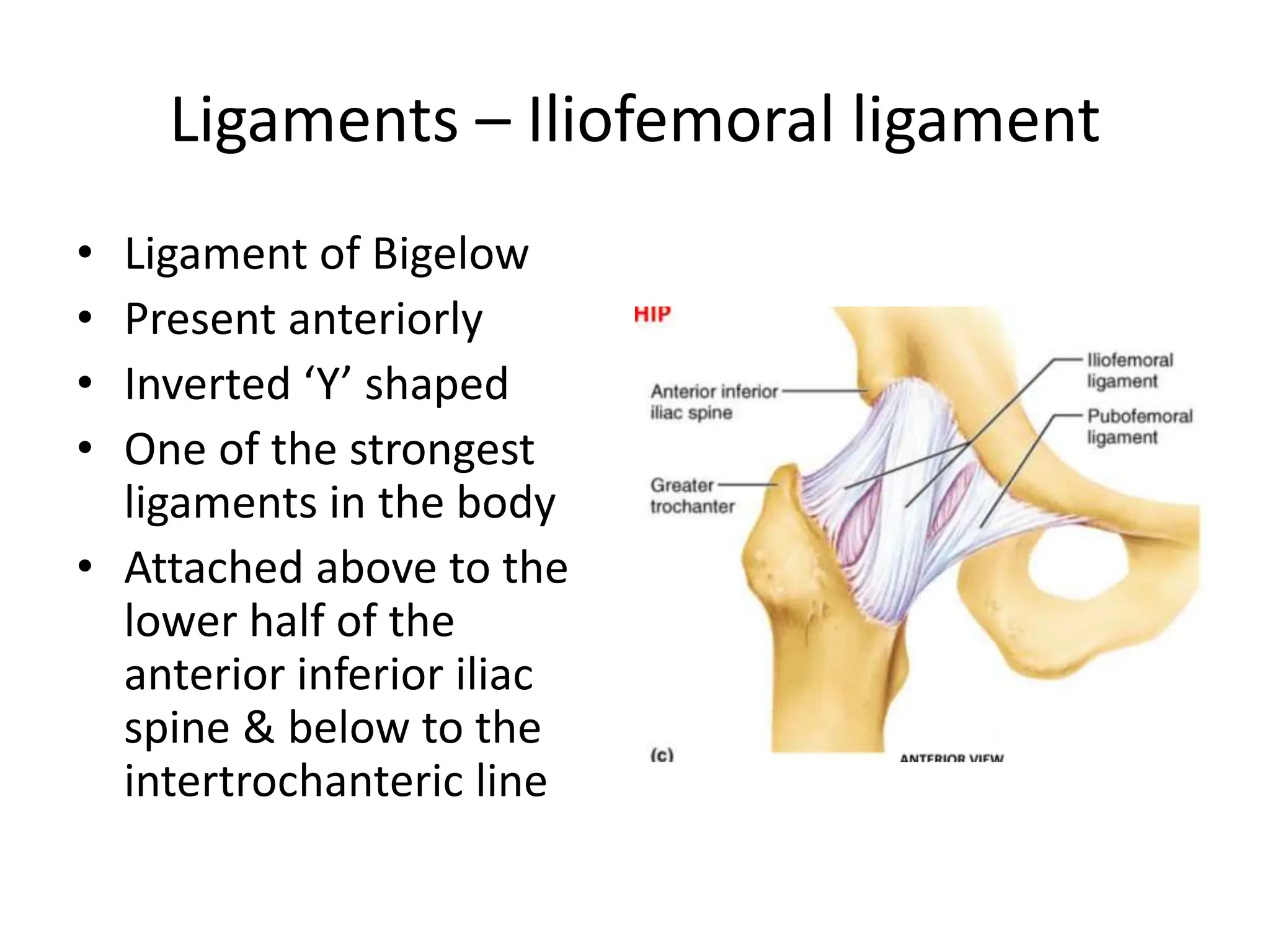 hip joint examination.pptx medical collage | PPTX