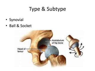 hip joint examination.pptx medical collage | PPTX