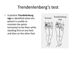 hip joint examination.pptx medical collage | PPTX