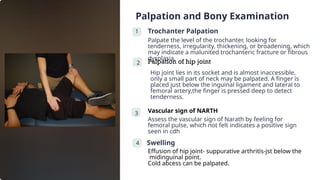 HIP JOINT EXAMINATION orthopaedis ppt.pptx
