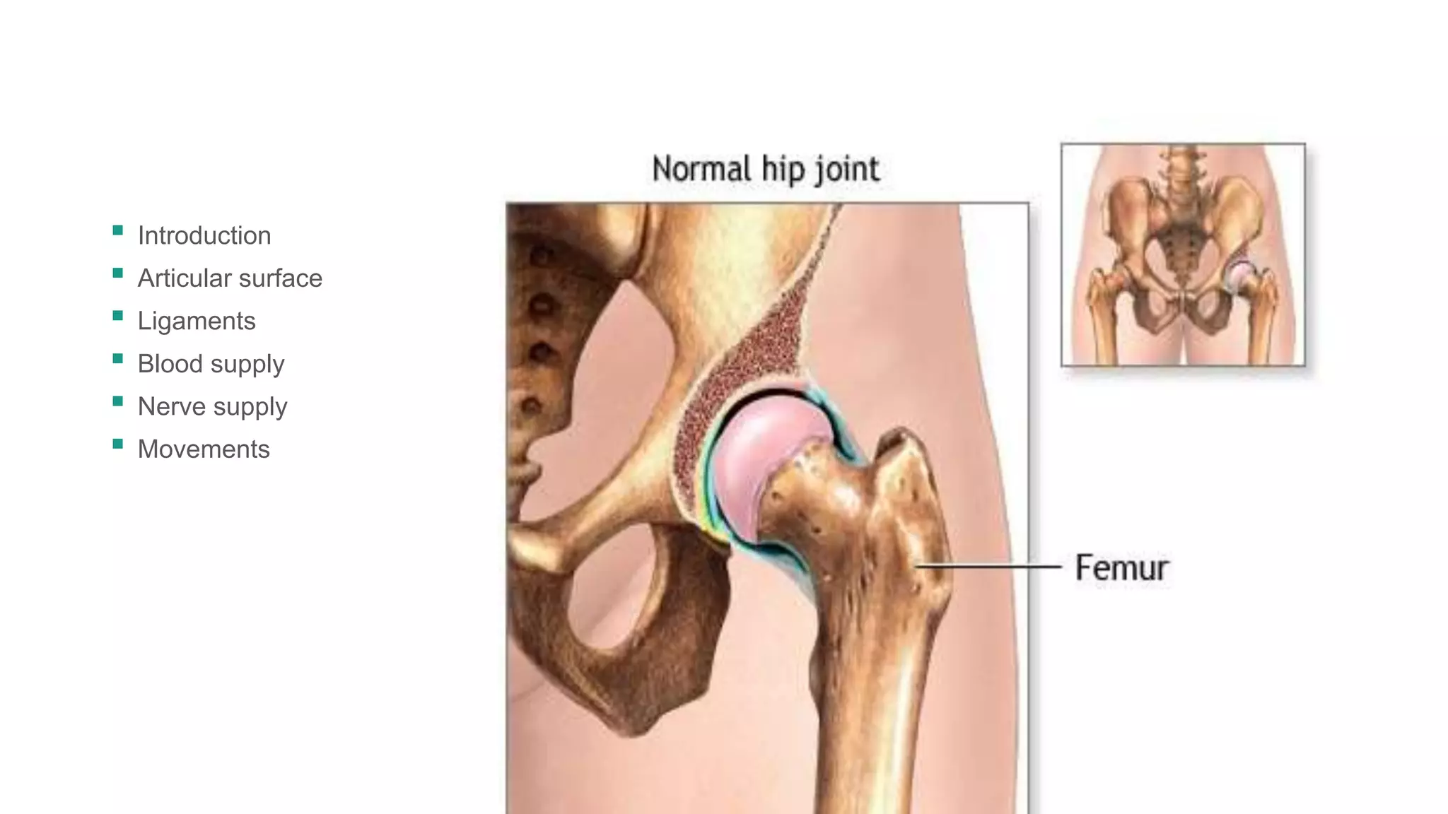 HIP JOINT(Final).pptx
