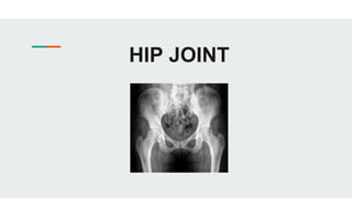 HIP JOINT(Final).pptx