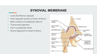 HIP JOINT(Final).pptx