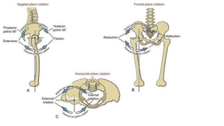 HIP JOINT(Final).pptx