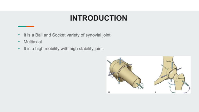 HIP JOINT(Final).pptx